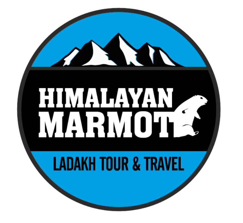 Himalayan Marmot | Ladakh Tour Packages